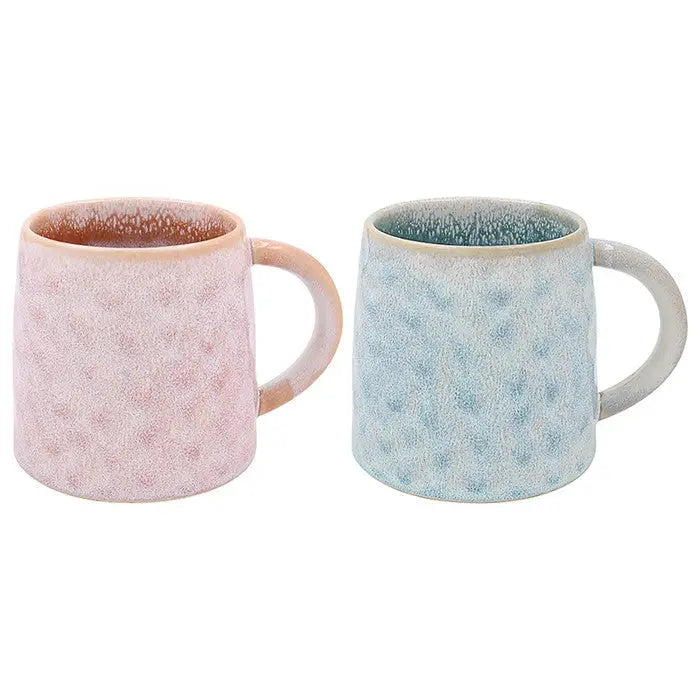 Elements Pale Mug Box Set of 2 - Stewart and Gibson Ltd