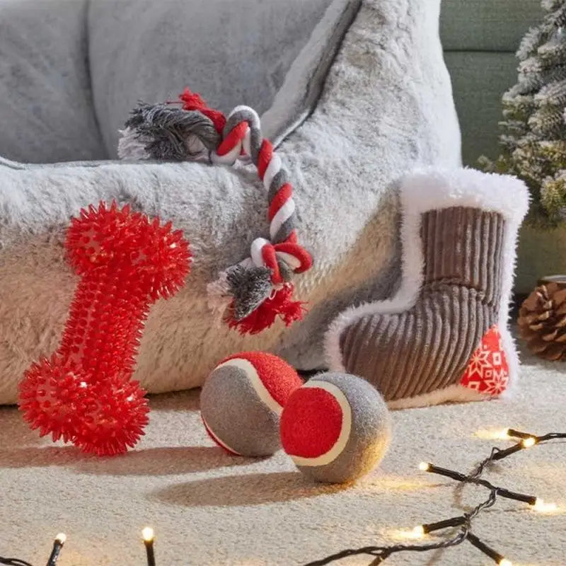Smart Garden Zoon my Dog’s Toy Pack - Festive Dog Toys - Stewart and ...