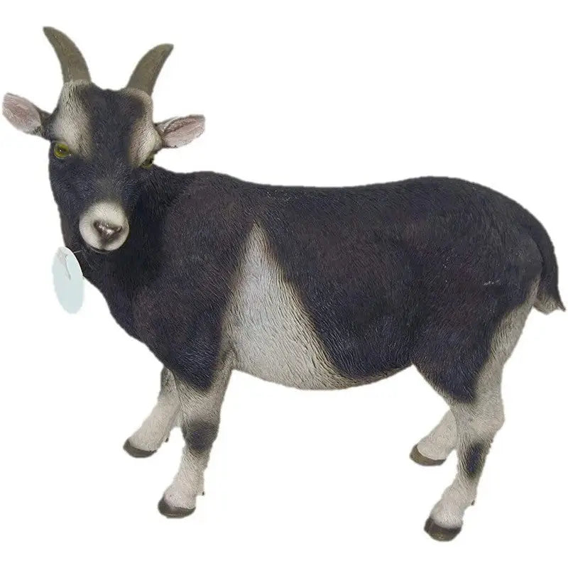 Vivid Arts Real Life Goat Type d Decorative Indoor/outdoor Ornament ...