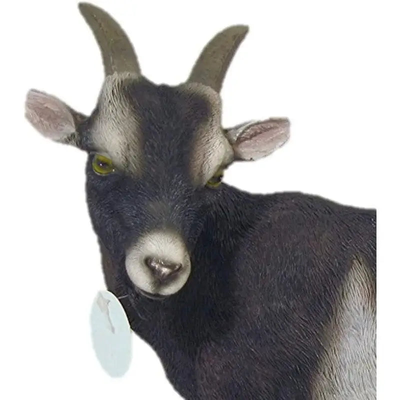 Vivid Arts Real Life Goat Type d Decorative Indoor/outdoor Ornament ...